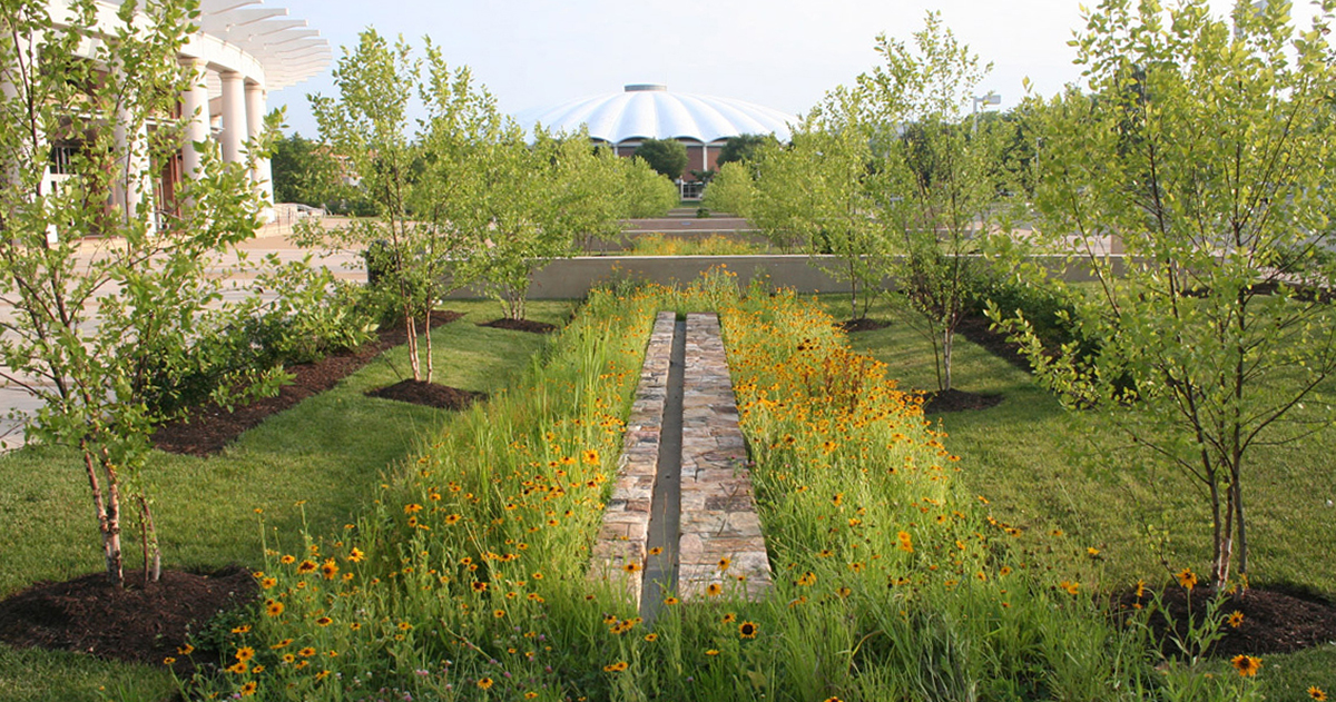 Site Sustainability & Resilience - Nitsch Engineering